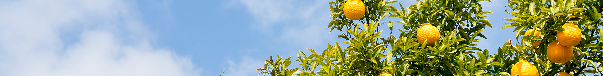 전체 - 『섬진강(蟾津江) 지키기 대탐사』 펼쳐